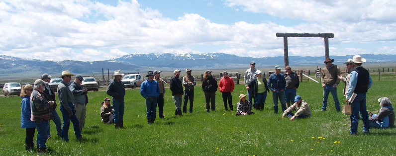 Discover the Keys to Successful Bison & Land Management - Durham Bison ...