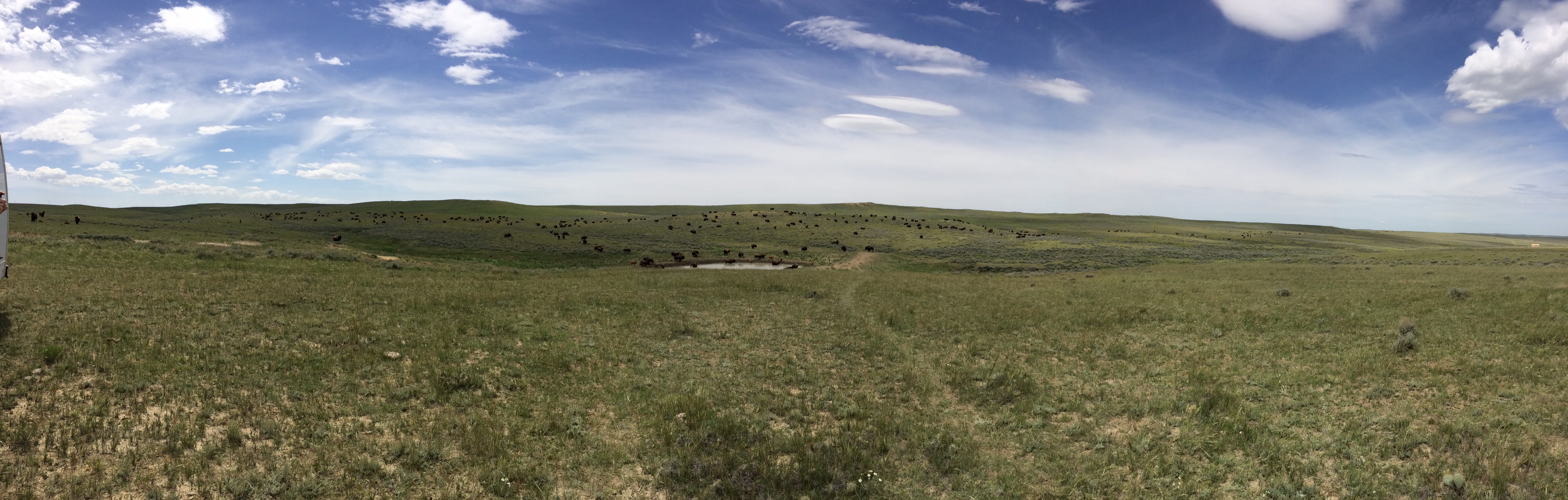 Contact Us - Durham Bison Ranch