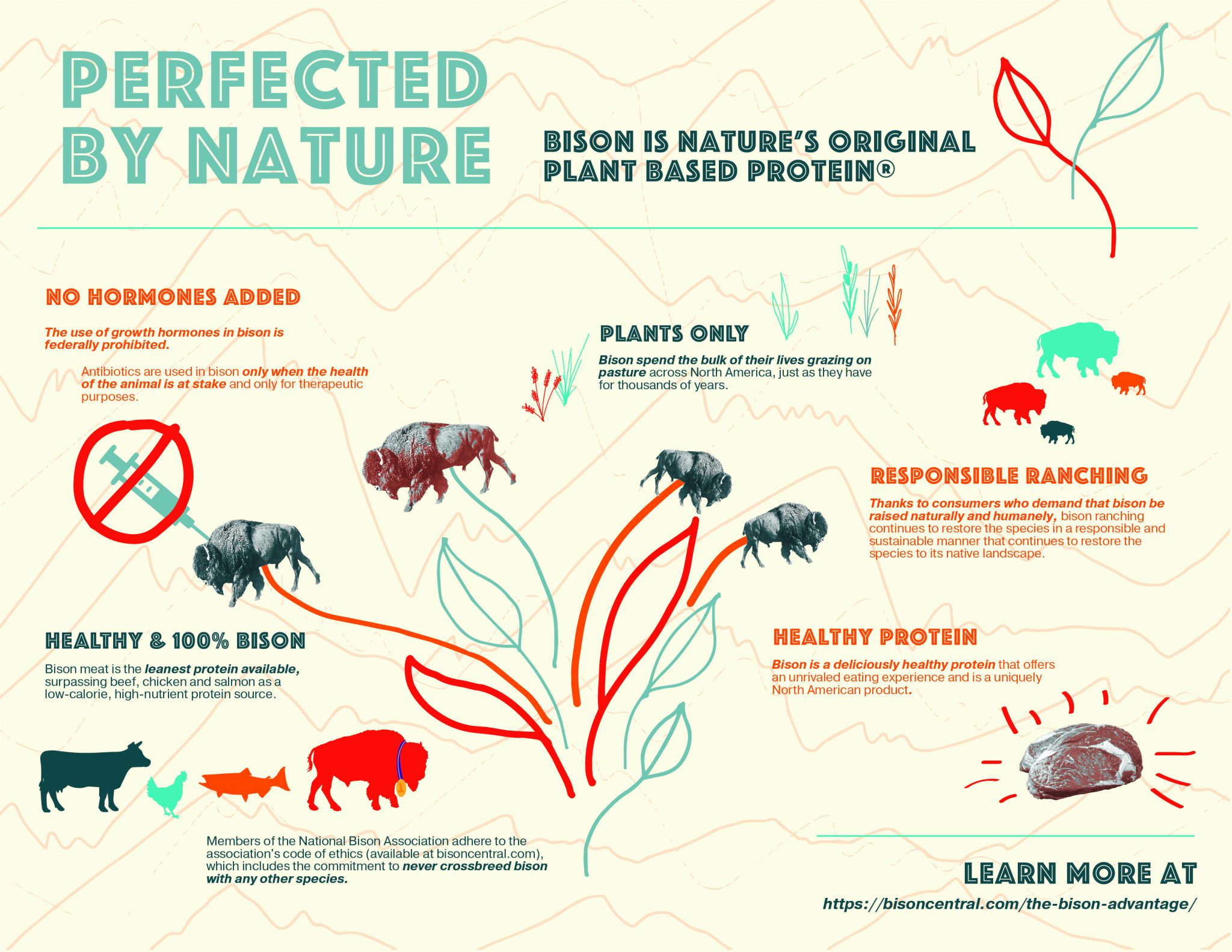 Why Bison? - Durham Bison Ranch